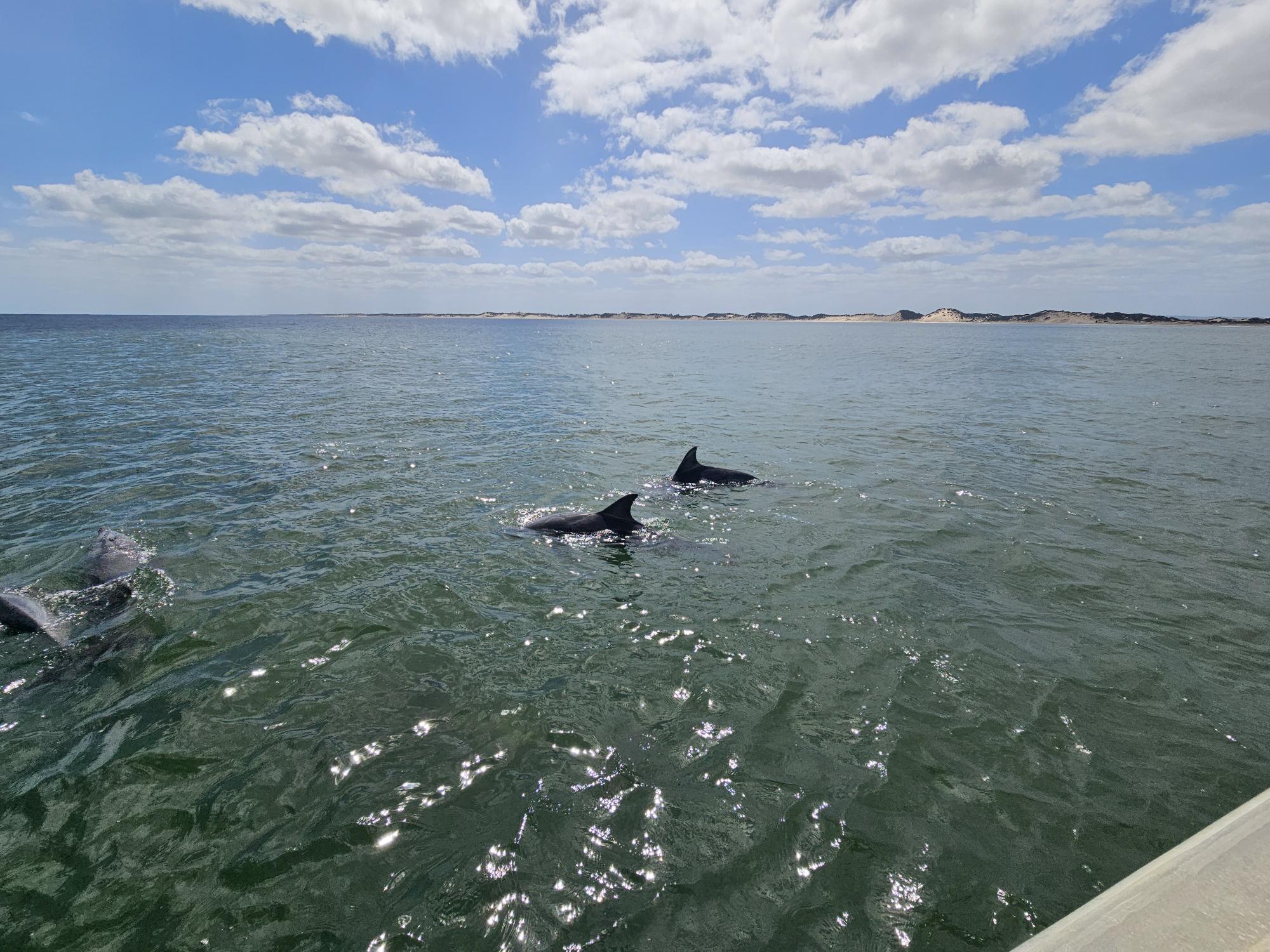 A Day on the Bay - Djidi Djidi Aboriginal School